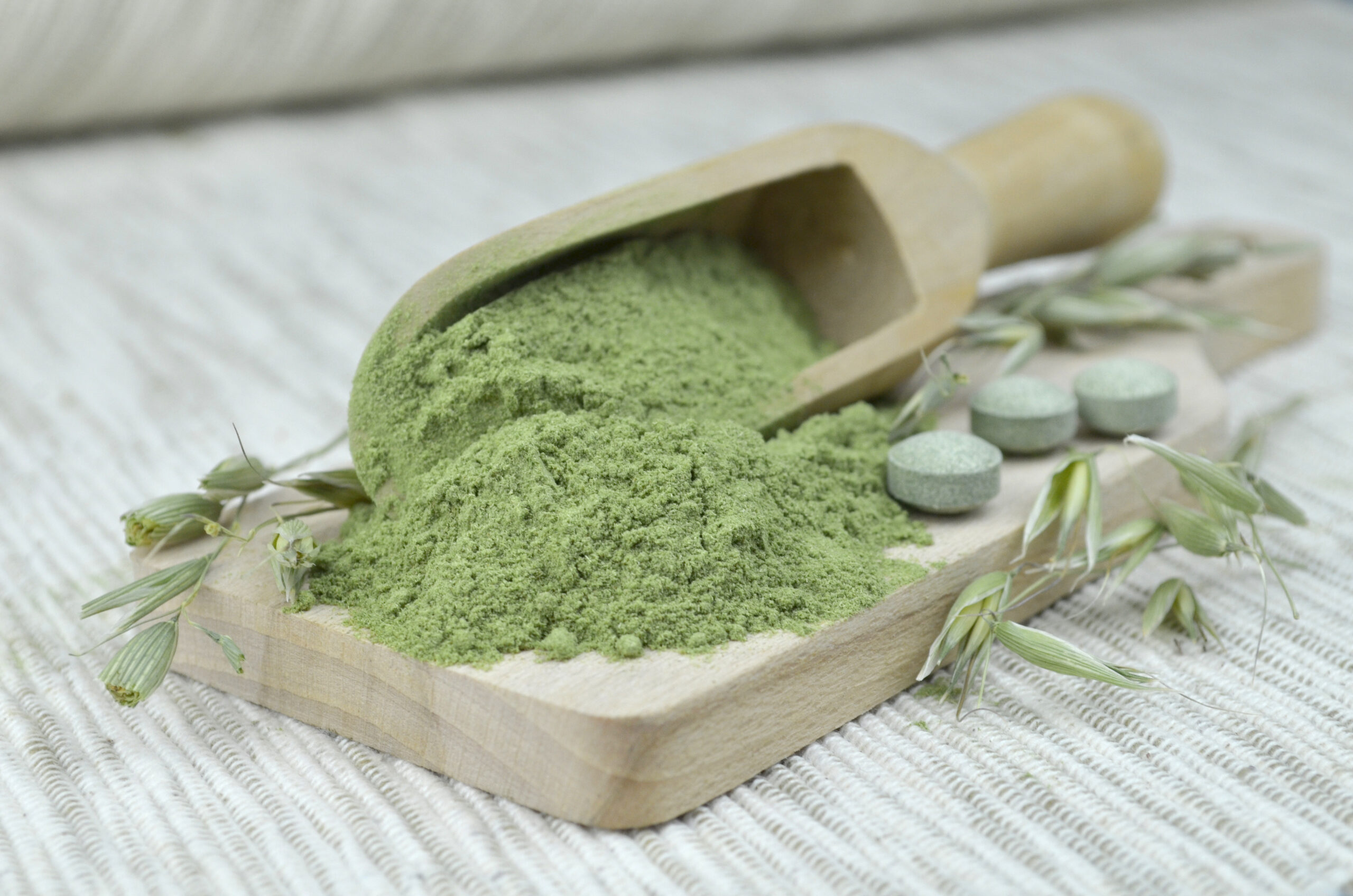 Chlorella - HerbKnowledge.net