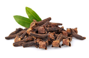 Cloves - HerbKnowledge.net